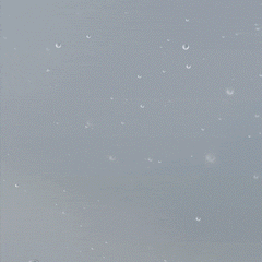 Our Story – Living Proof