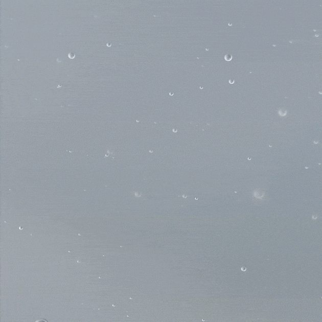 Our Story – Living Proof